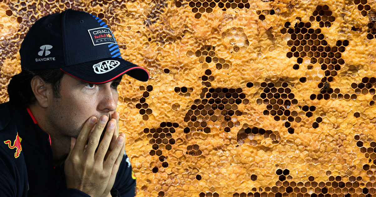 Het andere gezicht van Pérez: fobie voor asymmetrische gaten - Formule1.nl