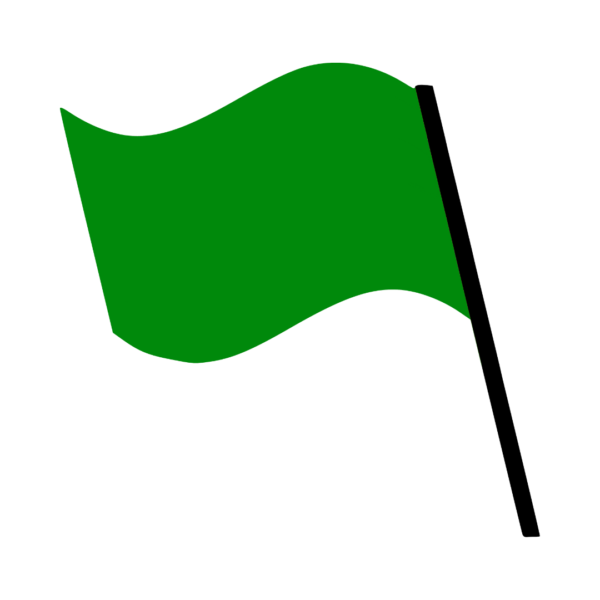 F1-vlaggen: Wat betekenen ze? - Formule1.nl