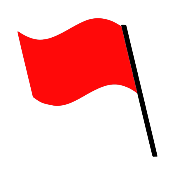 F1-vlaggen: Wat betekenen ze? - Formule1.nl